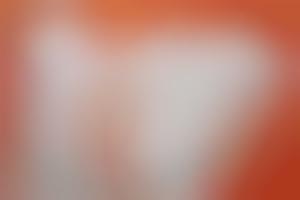 Bullet Proof Bras: German Breast Protection