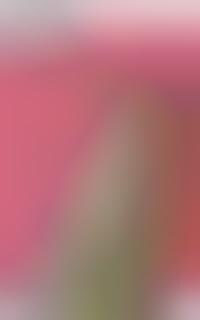 Graphic Showers: W.O.W. TOTEM System