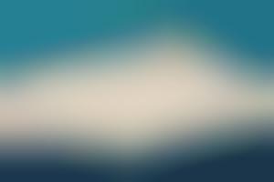 Home Eco Awareness: 'Global Warming' Polar Bear Rug