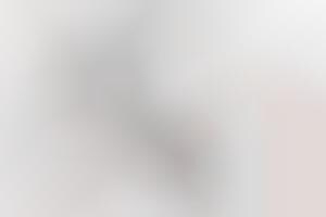 Chainless Bicycles: Nulla Minimalist Bike