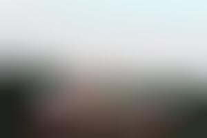 Weird Inflatable Sculptures: Paul McCarthy's Giant Piece of Crap