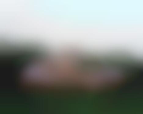 Weird Inflatable Sculptures: Paul McCarthy's Giant Piece of Crap