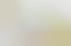 Modern Fish Condos: House Within a House Aquarium