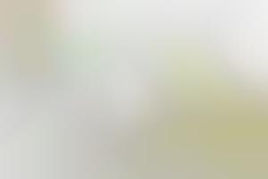 Modern Fish Condos: House Within a House Aquarium