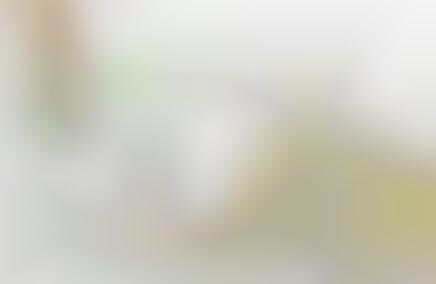 59 Bird Cages, Terrariums and Aquariums