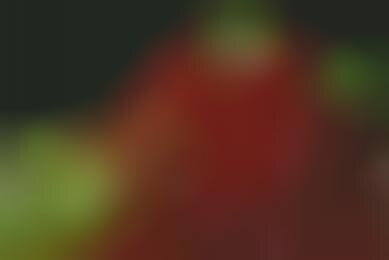 47 Unusual Japanese Foods