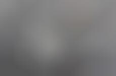 Interwoven Net Installations : Numen/For Use