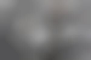 Inflatable Interactive Installations : Net Blow-up Yokohama