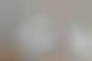 Oddly Lit Abodes : strange windows