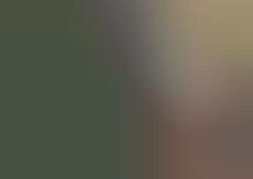 Great Outdoor Workstations : Standing Tree Desk