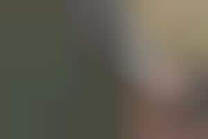 Great Outdoor Workstations : Standing Tree Desk