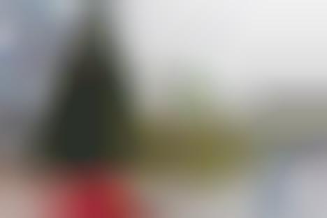 Vegetable-Powered Christmas Trees : eco christmas tree