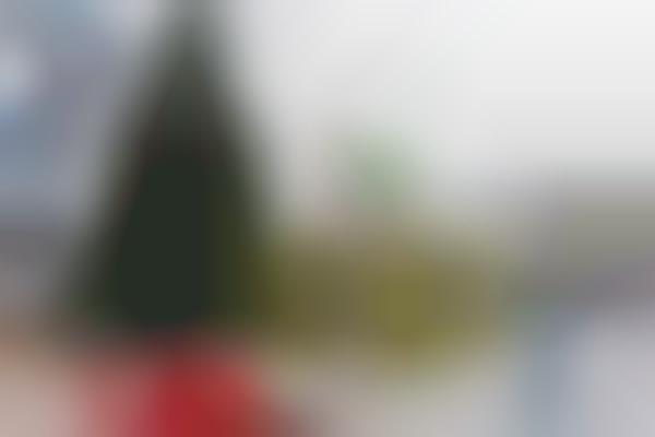 Vegetable-Powered Christmas Trees : eco christmas tree