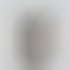 Jurassic Era Jewelry : Dinosaur Bone Rings