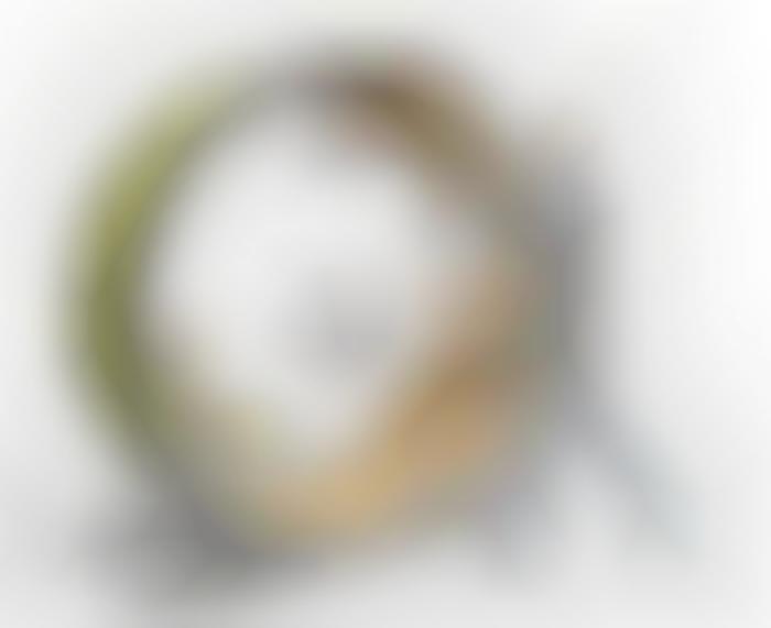 Adaptable Ring Escritoires : Gaia Workstation