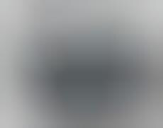 Robotic Bread Browners : Automatic Toast Machine