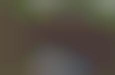 River-Inspired Landscapes : winding path