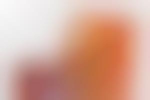 Wooden Storage Seating : Mode Lounge Chair