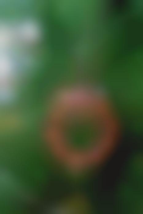 Nutty Miniature Wreaths : Hazelnut Wreath