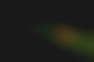 Slithery Snake Flashlights : coil snake light