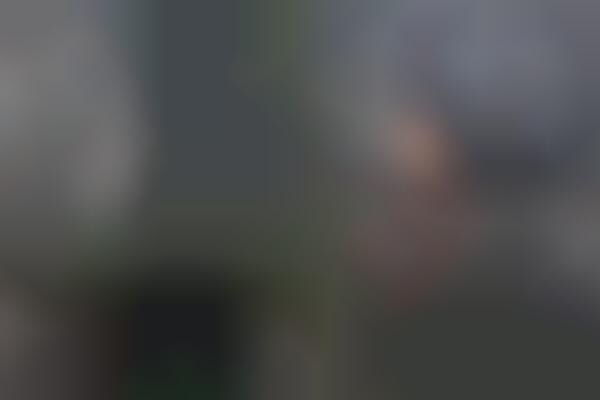 Heroic Perspective-Shifted Photography : poor batman