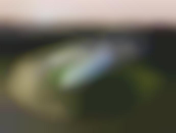 30 Innovative Stadium Designs