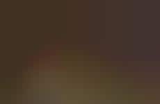 Modular Electric Scooters : electric scooter