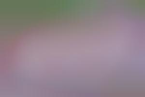 Medieval Game Board Remixes : Chainmaille Chess Set