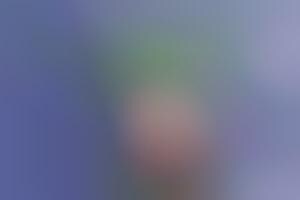 Biodegradable Chip Packaging : Chip Snacks