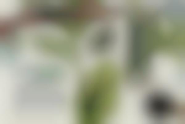 Flower-Blooming Bullets : flower shell