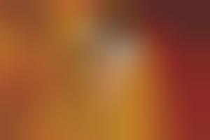 Striking Silk Portraits : art of silk