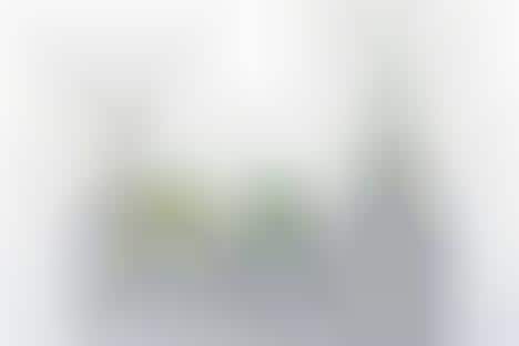 Quirky Architectural Vases : Kalki'D Flower Pots