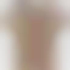 Gossip Rag Garments : magazine shirt