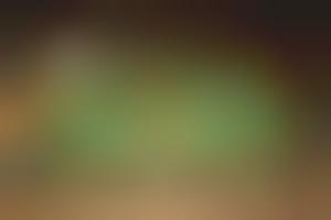 Deluxe Designer Board Games : louis vuitton backgammon set