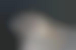 Futuristic Capsule Yachts : jet capsule