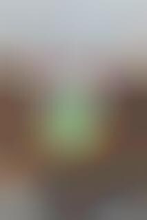 Holographic Christmas Trees : holographic projection