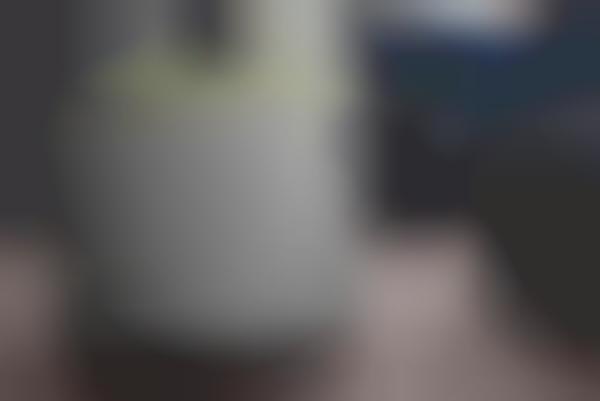 Posture-Improving Stools : Turnstone Buoy