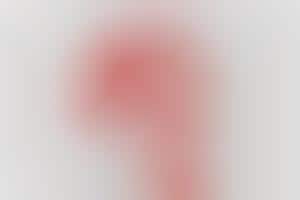 Coiled Cardboard Candy Canes : Candy Cane Decoration