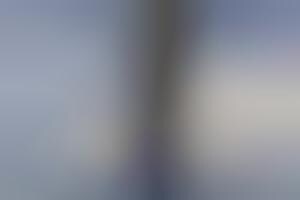 Translucent Hand Paintings : Hand Paintings