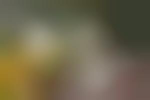 Decadent Dessert Tray DIYs : dessert stand