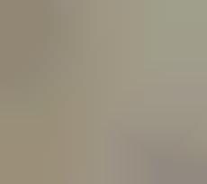 Cute Illustrated Lunch Bags : Art Lunch Bags