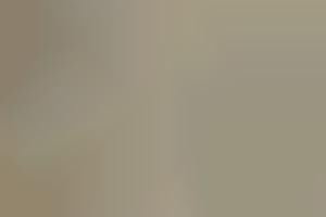 Cute Illustrated Lunch Bags : Art Lunch Bags