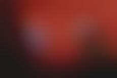 Interactive Fairy Tale Windows : "holiday window display"