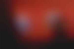 Interactive Fairy Tale Windows : "holiday window display"