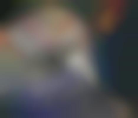 Classic Novel Notebooks : book journals