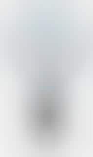 Slimming LED Light Bulbs : Phillips SlimStyle light bulbs