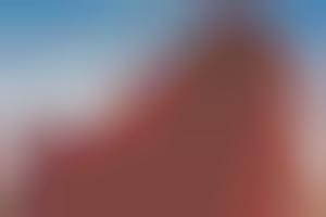 Coral-Inspired Architecture : Coral Architecture