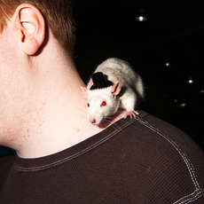 Fringe Animal Photography : Welcome to the Show