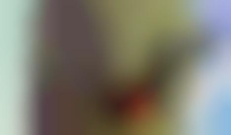 Hi-Res Head-Worn Cams : Panasonic Wearable 4K Camera