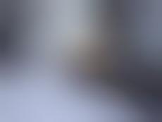 Cargo-Sized Cardboard Crates : Amazon Nissan Box